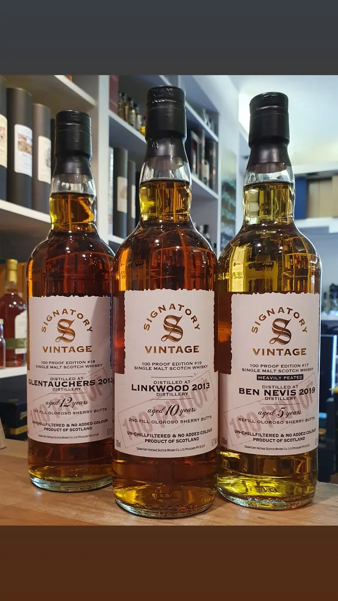 Modest Dresses | Church Dresses | NeeSee's Dresses