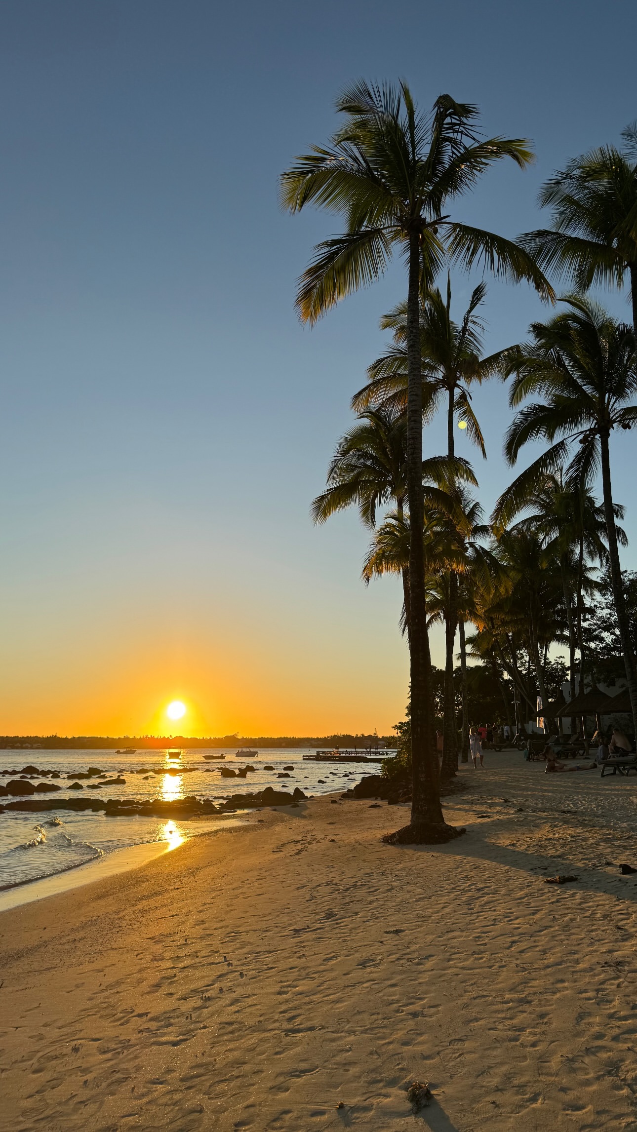 Boenga Flowers by Harijanto | Luxury Bespoke Flower Gift – Boenga ...