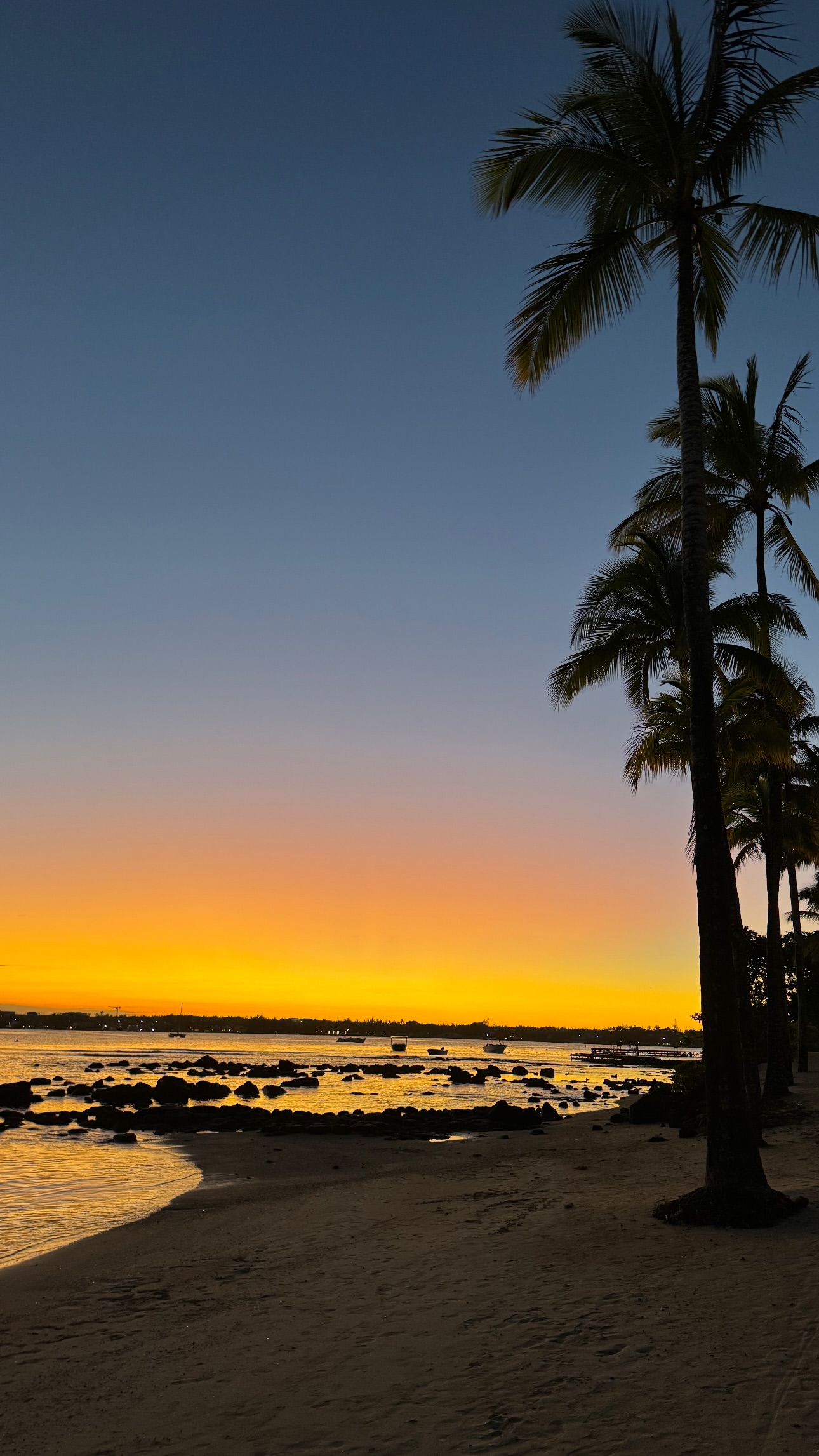 Boenga Flowers by Harijanto | Luxury Bespoke Flower Gift – Boenga ...