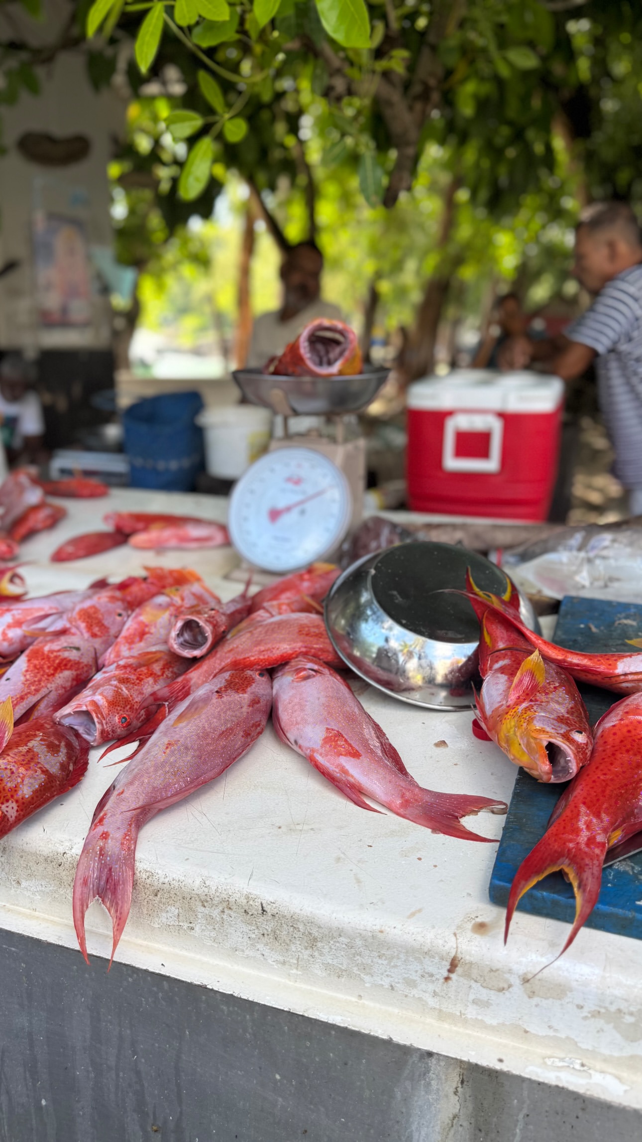 Boenga Flowers by Harijanto | Luxury Bespoke Flower Gift – Boenga ...