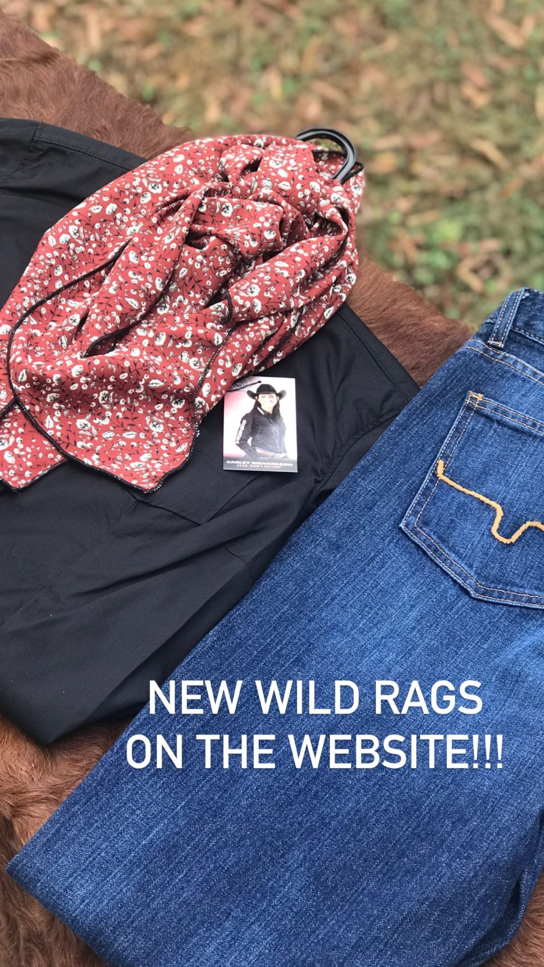 Brain + Energy | La Vie Tea