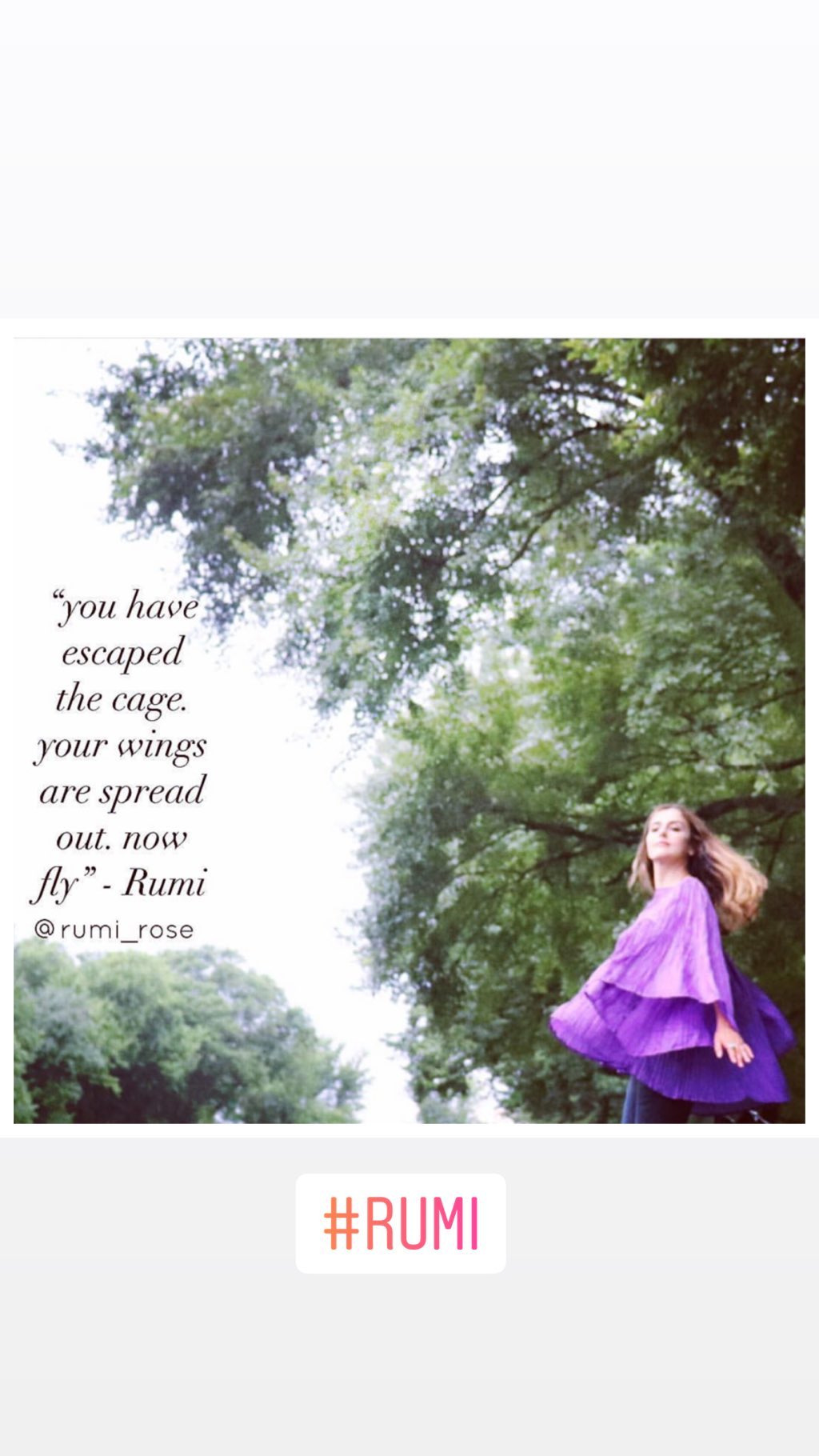 Rumi Rose – RUMI ROSE