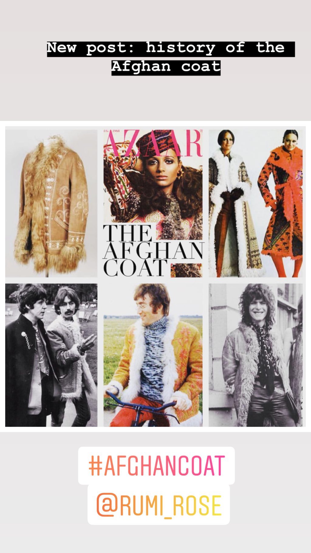 Rumi Rose – RUMI ROSE