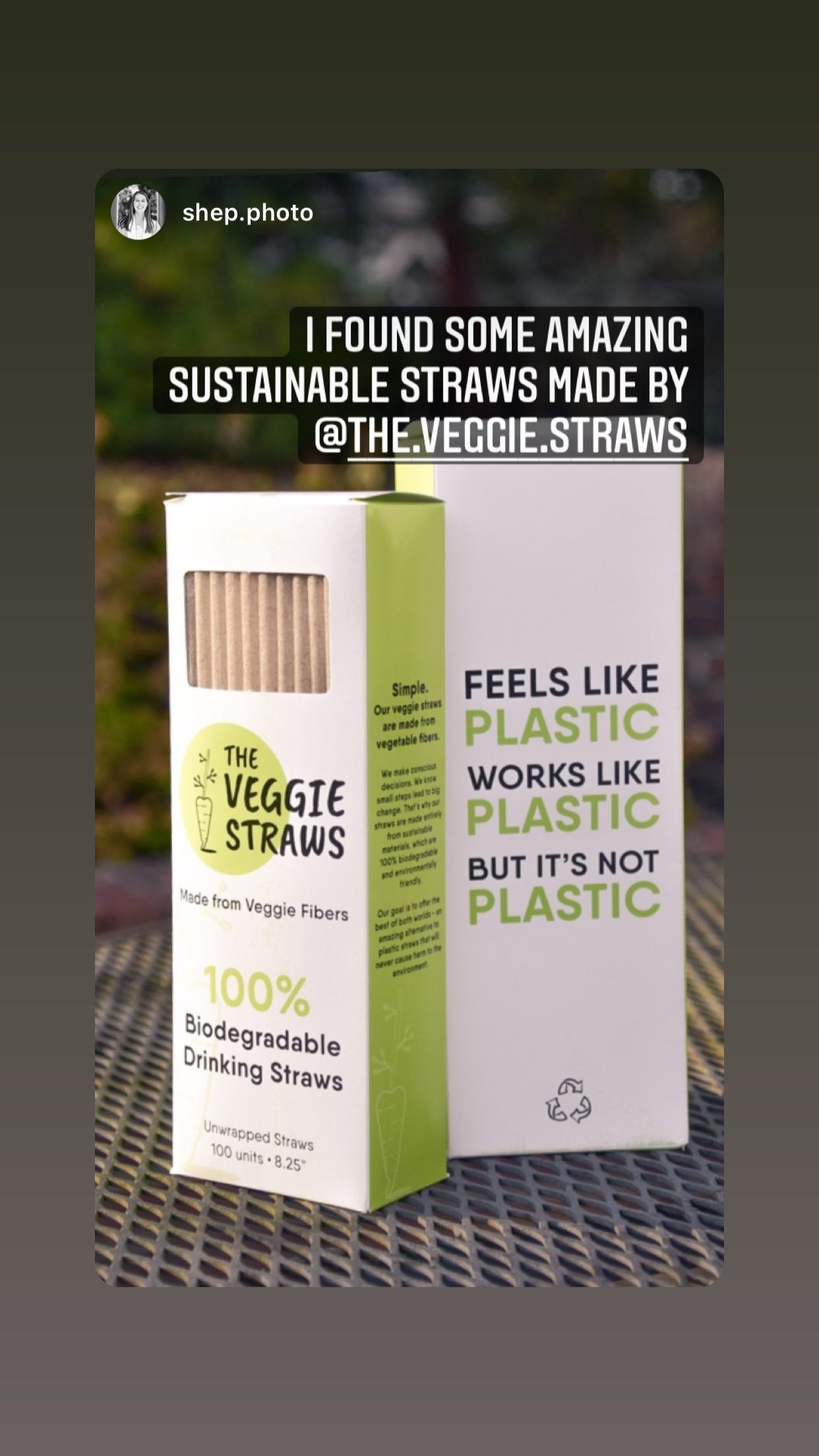 The Veggie Straws | 100% Biodegradable Straws-Gluten Free