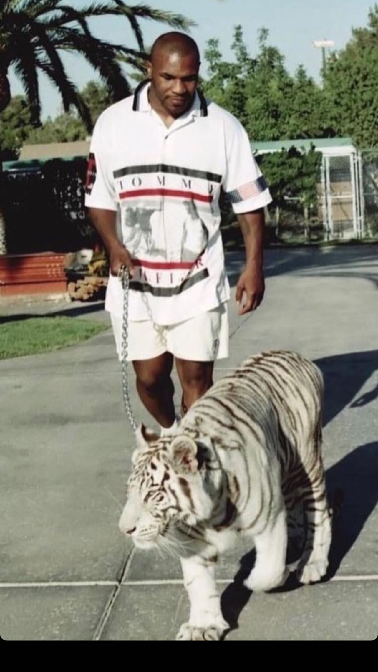 The Fireside Store | Fireplace Accessories You’ll Love