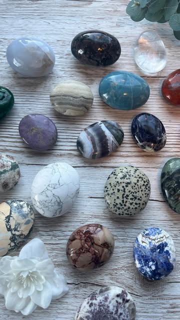 Blue Guardians Program – Anti Watch, Watch Club Inc.