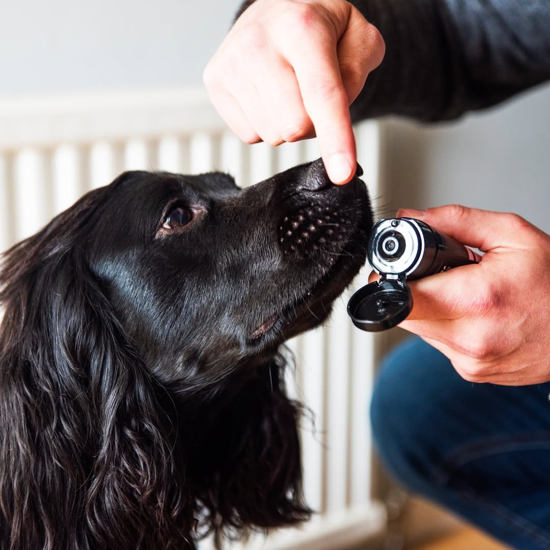 Augusta Distillery - Kentucky Straight Bourbon Whiskey