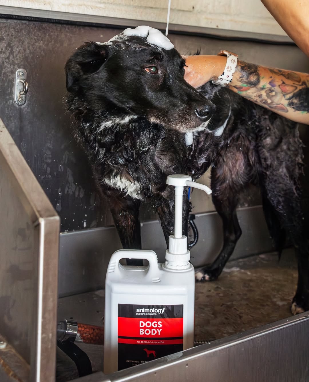 Augusta Distillery - Kentucky Straight Bourbon Whiskey