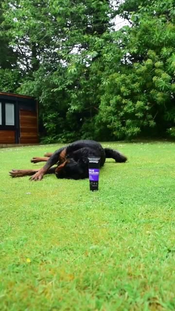 Augusta Distillery - Kentucky Straight Bourbon Whiskey