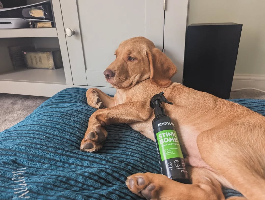 Augusta Distillery - Kentucky Straight Bourbon Whiskey