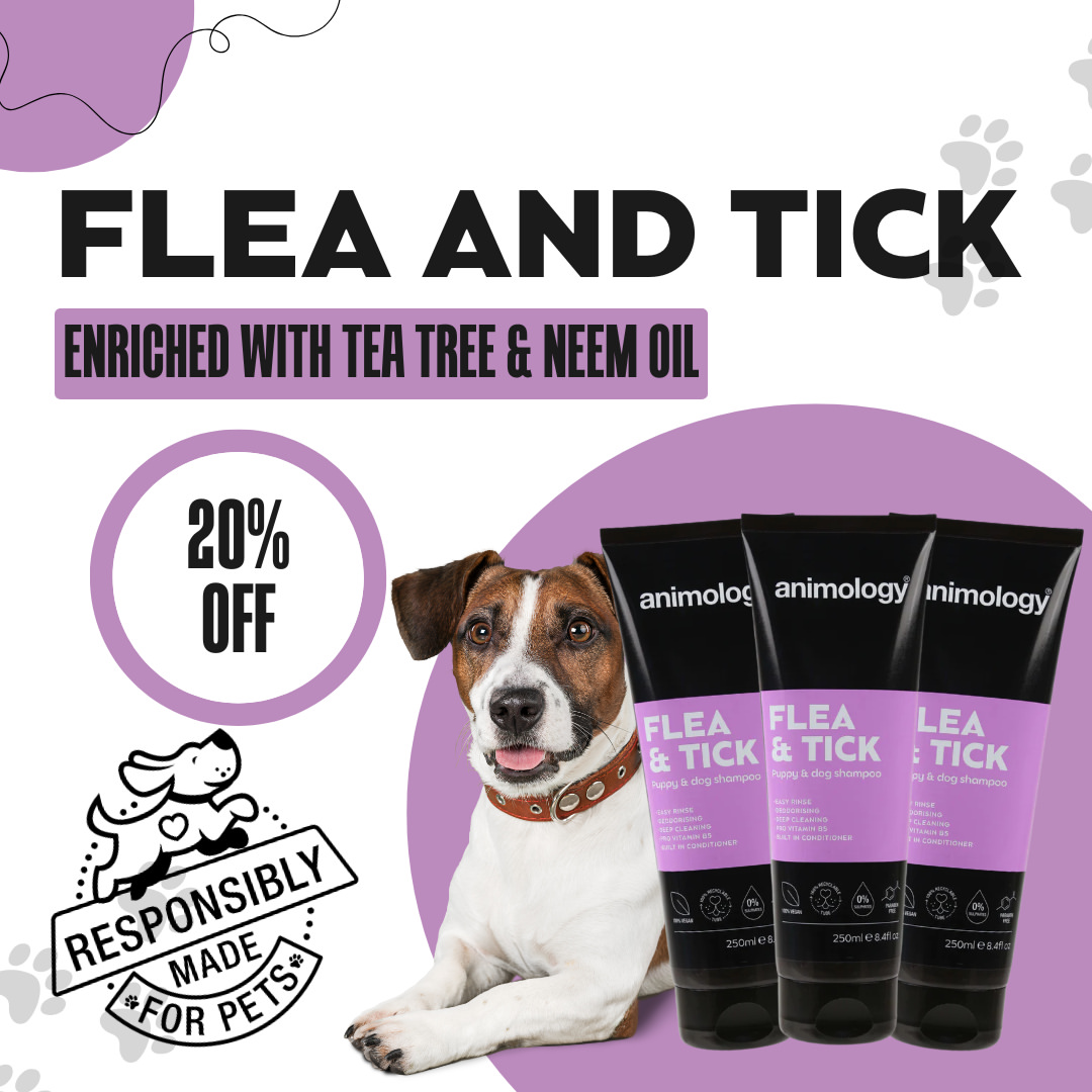 Augusta Distillery - Kentucky Straight Bourbon Whiskey