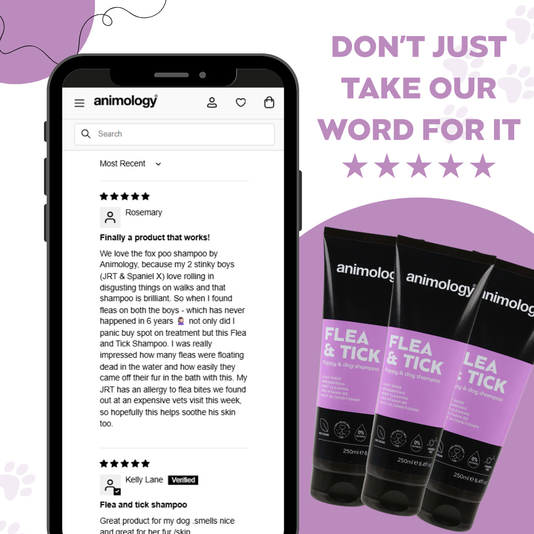 Augusta Distillery - Kentucky Straight Bourbon Whiskey