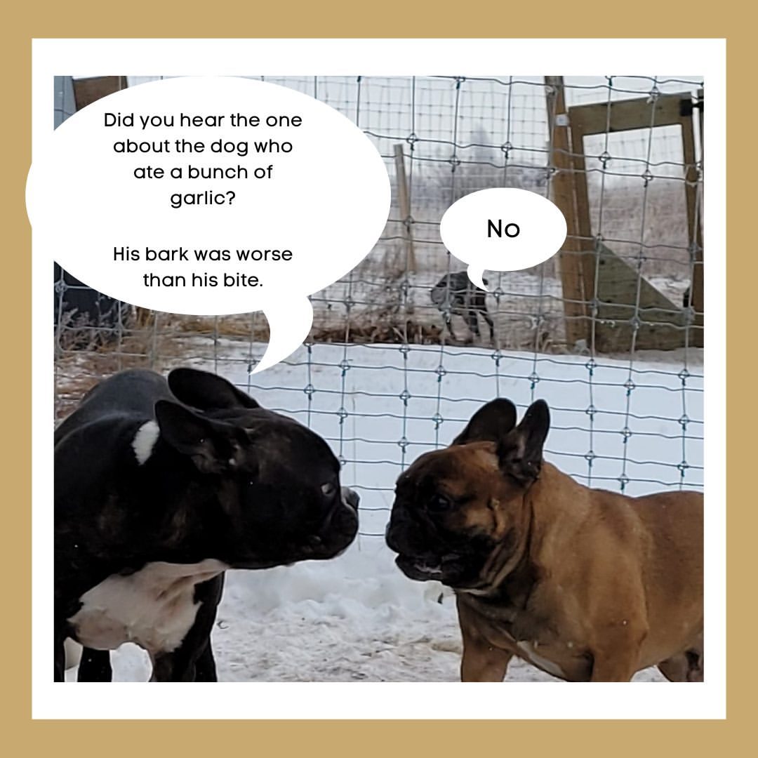 CollectibleTags Pokemon Card Shop – Collectible Tags