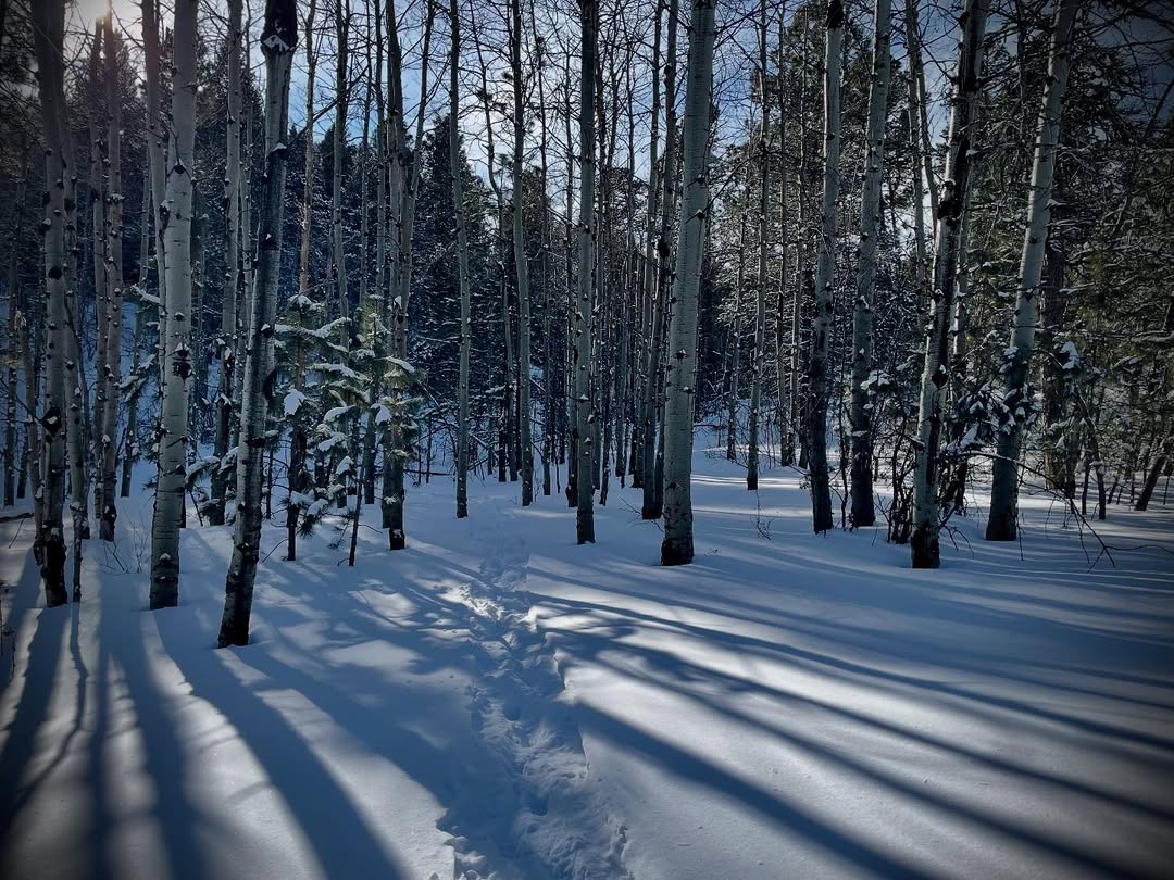 Backcountry Blacksmith Inc.