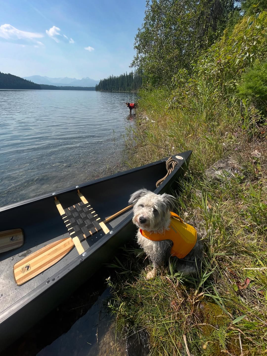 Backcountry Blacksmith Inc.