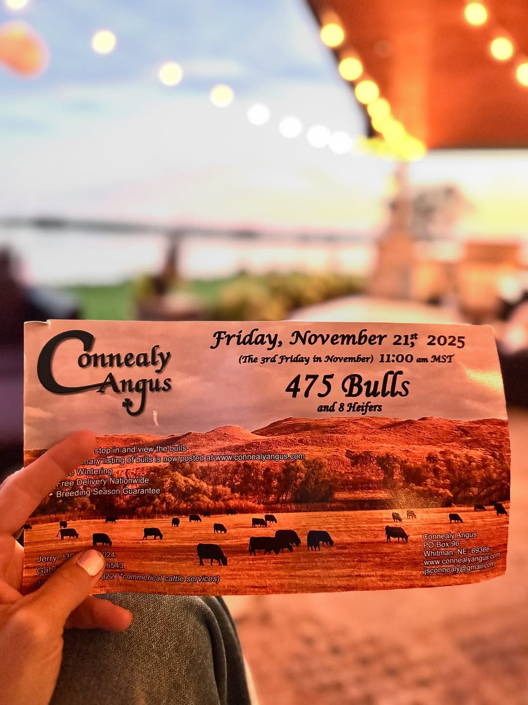 Traceable 100% Purebred Angus Beef From Our Ranch To Your Door ...