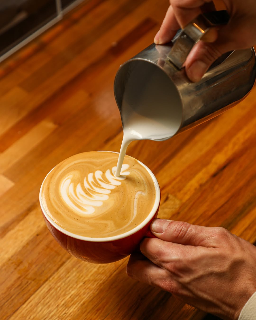 Mojo Coffee Roasters