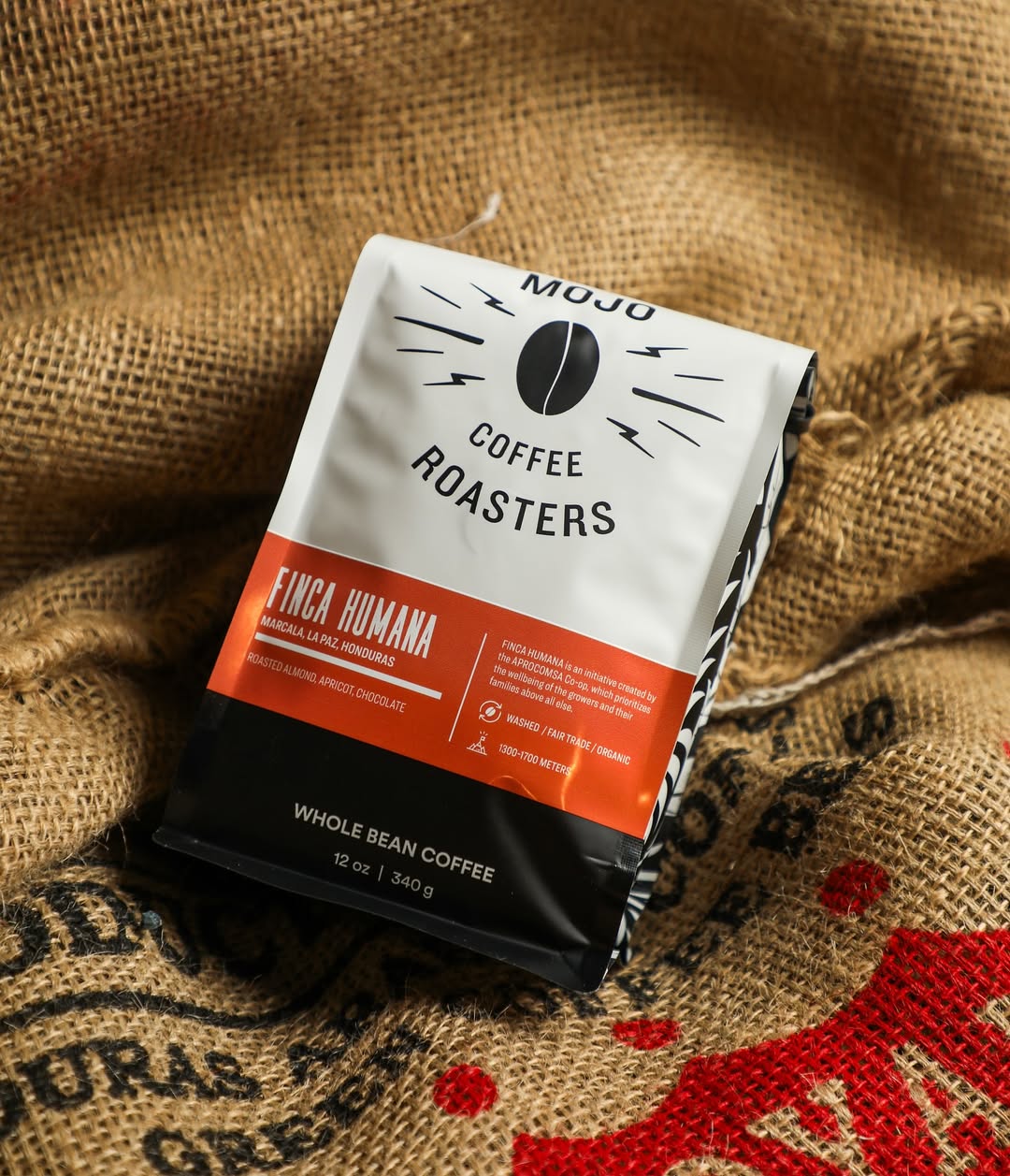 Mojo Coffee Roasters