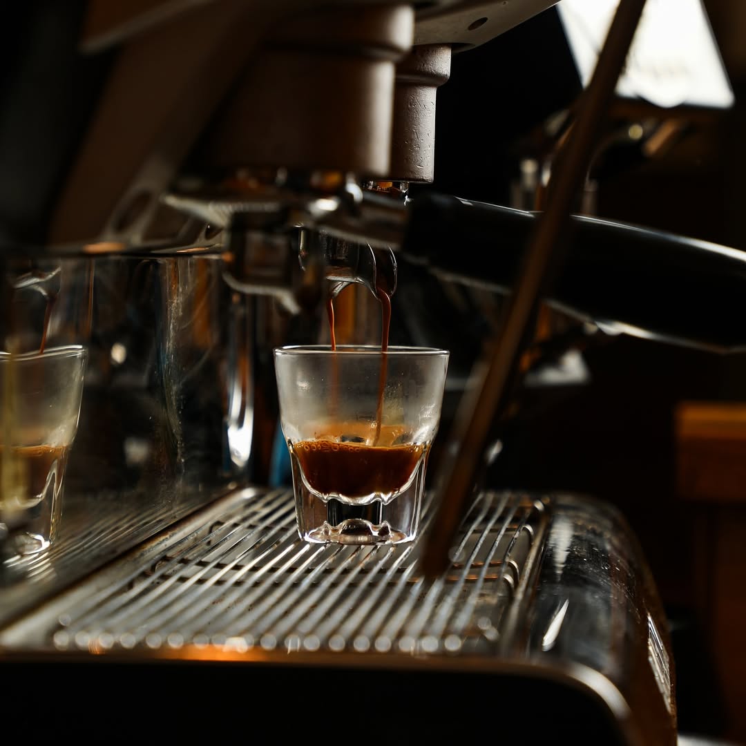 Mojo Coffee Roasters