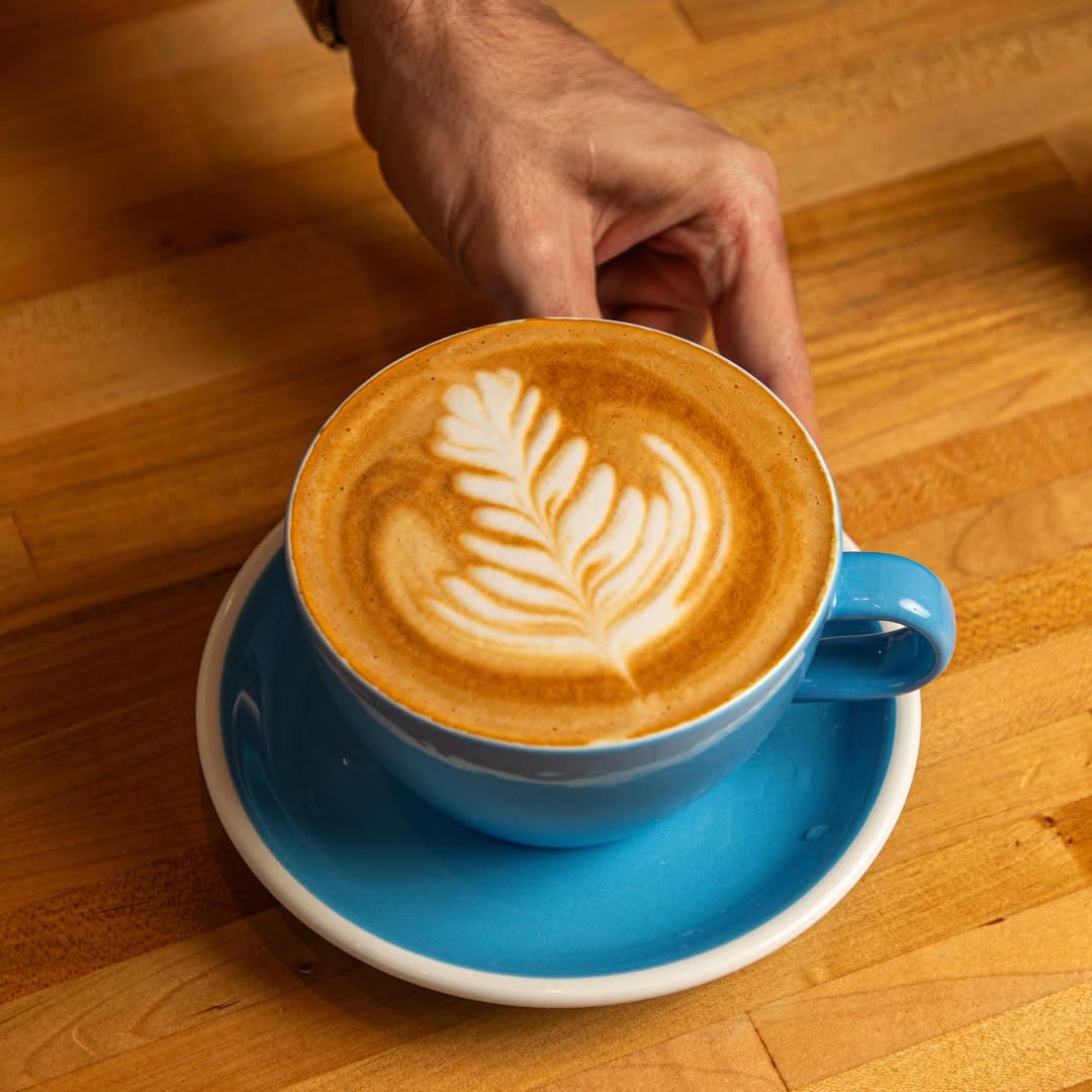 Mojo Coffee Roasters