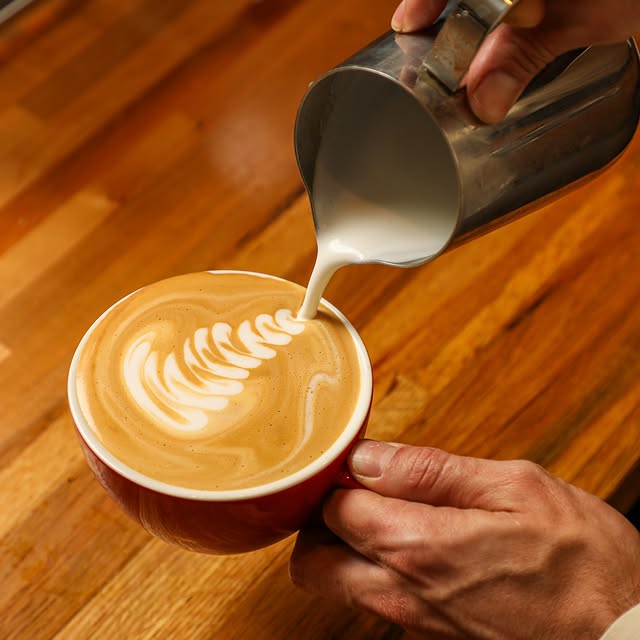 Mojo Coffee Roasters