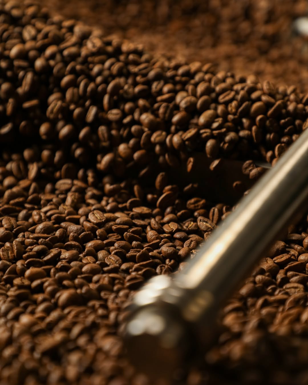 Mojo Coffee Roasters