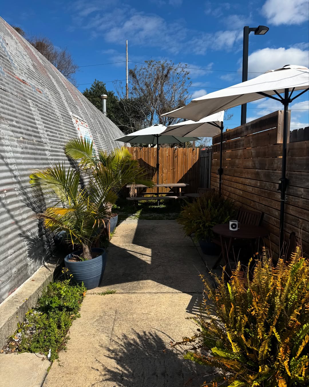 Mojo Coffee Roasters