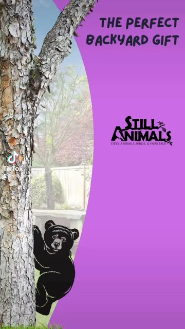 Still Animals